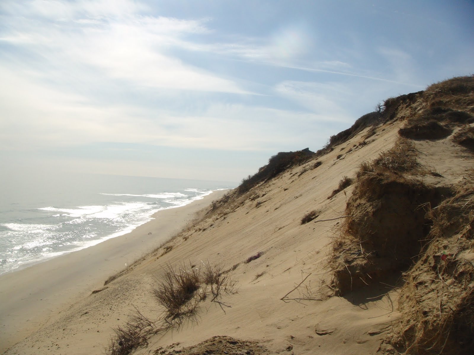 The Lollipop Tree: The Lower Cape - A Day To Remember!