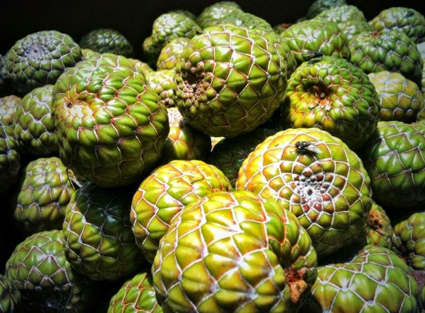 Buah Asli Indonesia Yang Mendunia dan Sudah Mulai Langka