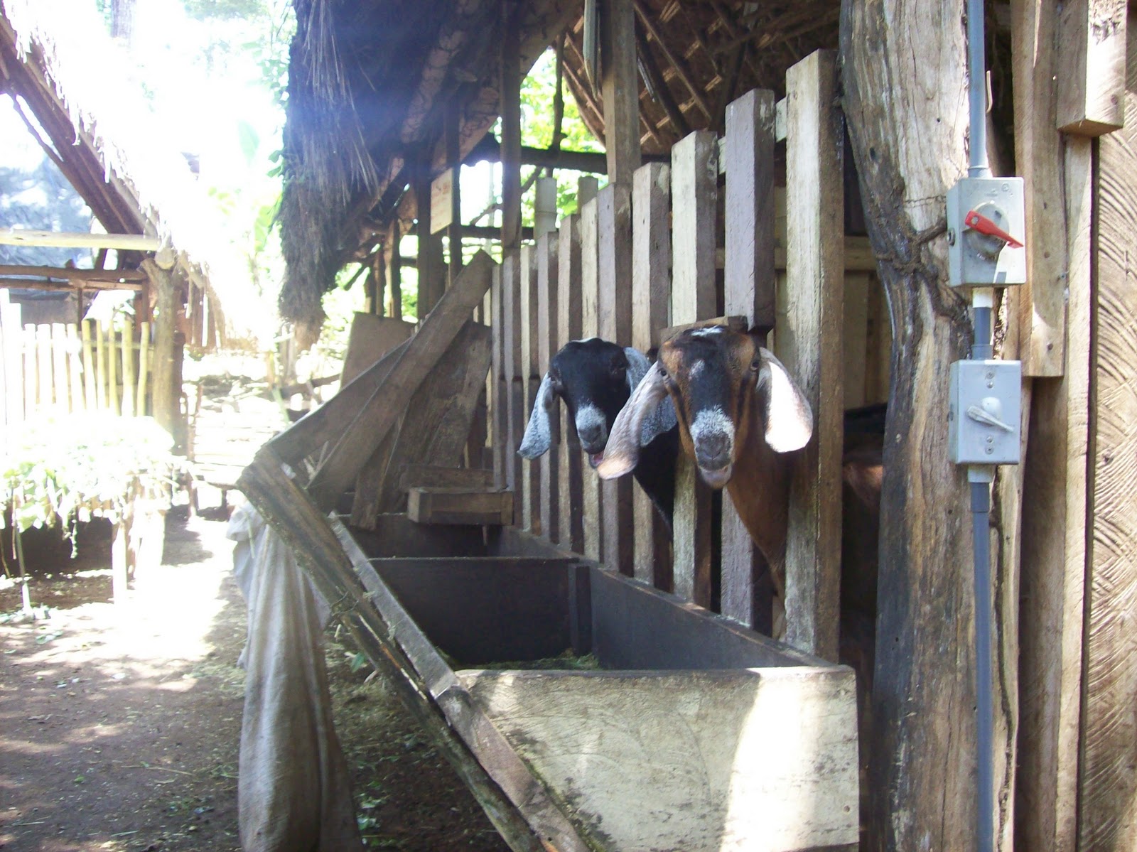 Staying warm in Nicaragua: Rancho Ebenezer