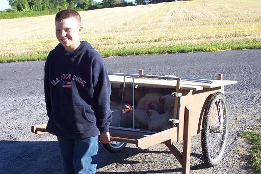 The Deliberate Agrarian: Processing ChickensWith My 11-Year-Old Son