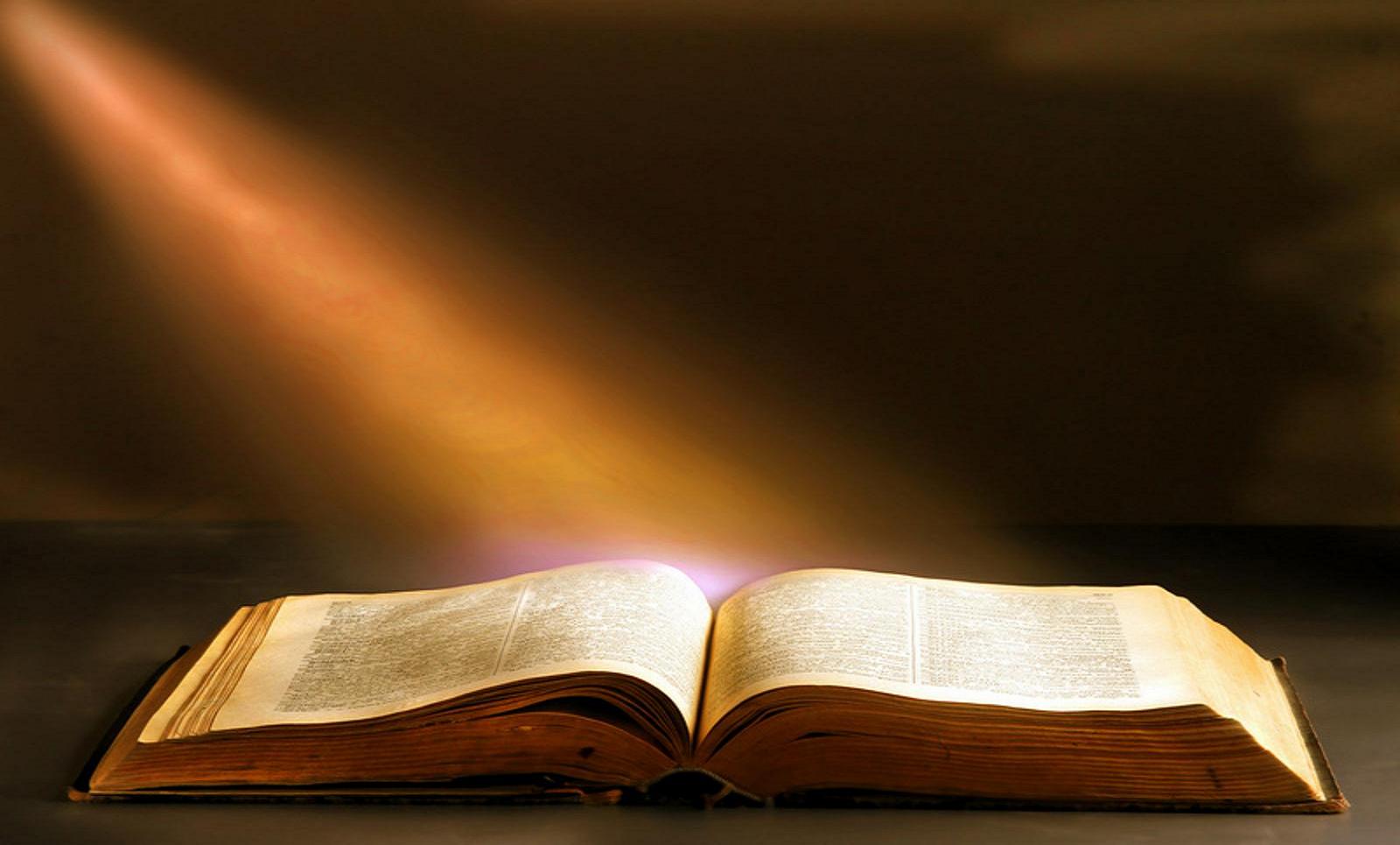 The Butter Rum Cartoon REVERSE ALPHABETICAL READING OF THE HOLY BIBLE the-butter-rum-cartoon-reverse-alphabetical-reading-of-the-holy-bible