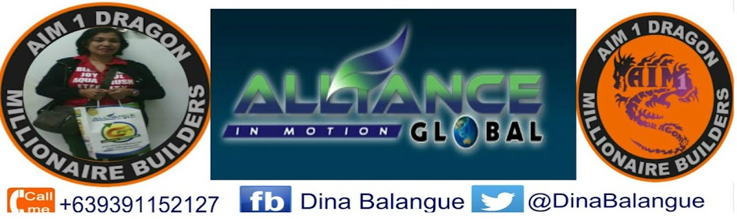 Alliance in Motion Global: Company