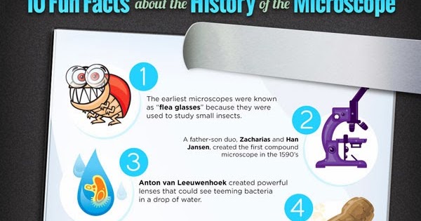 Microscope World Blog: 10 Fun Facts on History of Microscope