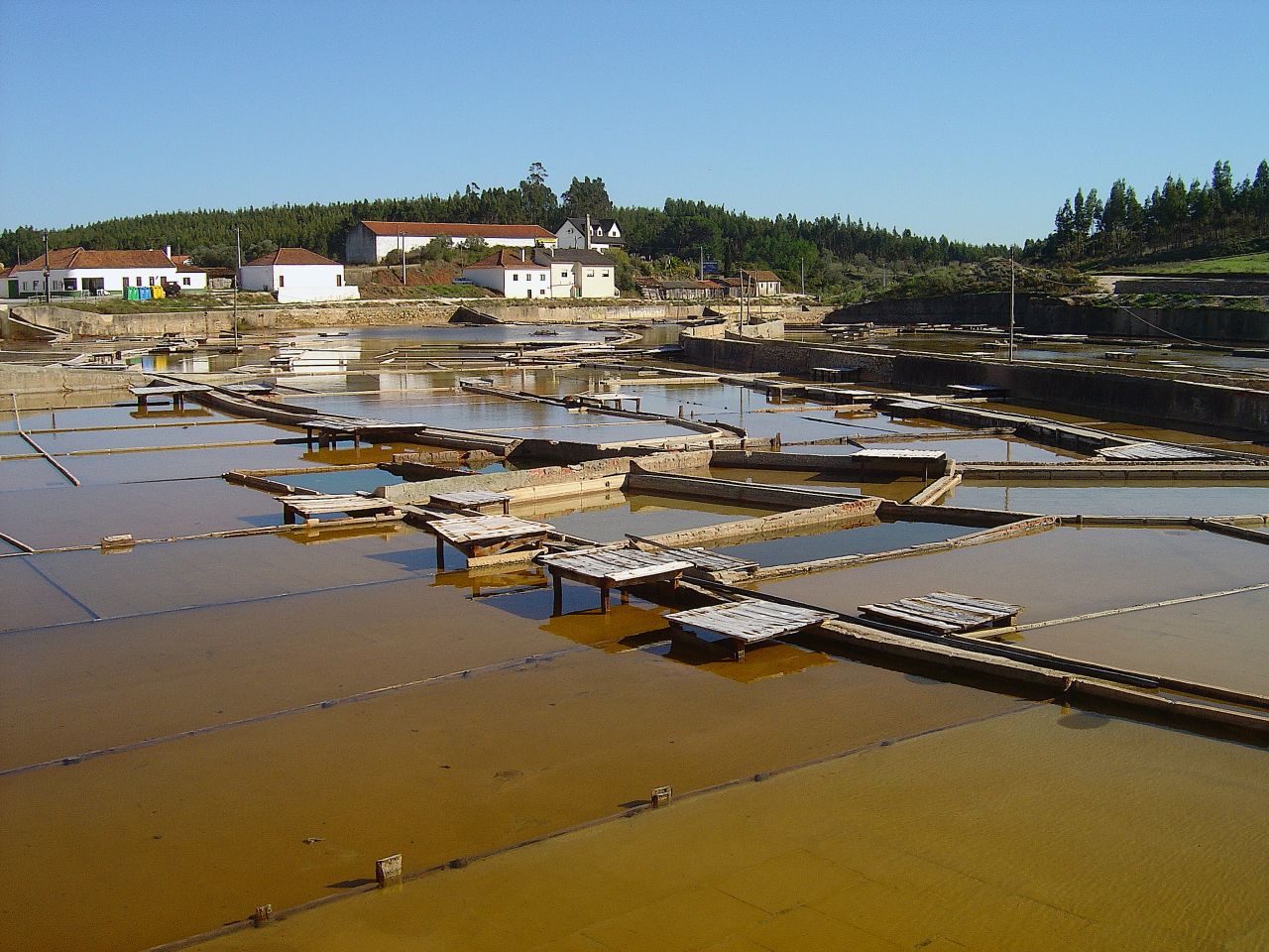Viagens Gonçalo: Salinas de Rio Maior