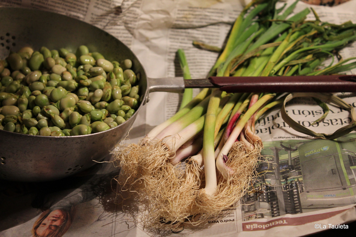 Habas Frescas Verdes - La Tauleta