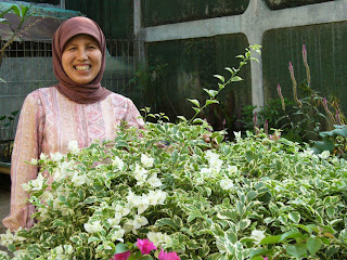 Gambarnya Aldriana: Bunga-bunga di Halaman Rumah