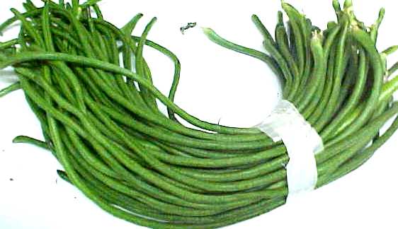 herbal and traditional medicine: Benefits And Usefulness Long Beans