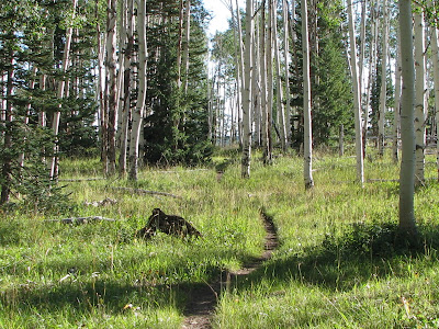 gjhikes.com: Turkey Flats