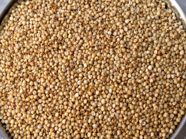 Health Benefits from millets: Sorghum – (जवार Jowar / జొన్న Jonnalu)