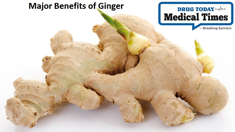 Drug Today Medical Times: Incredible Health Benefits and use of Ginger ...
