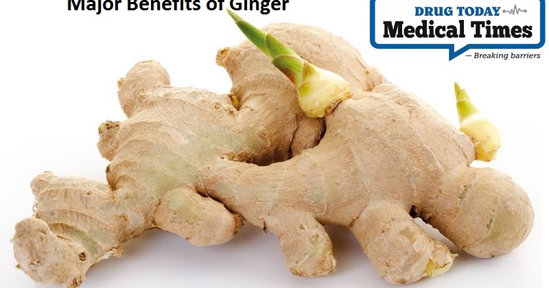 Drug Today Medical Times: Incredible Health Benefits and use of Ginger ...