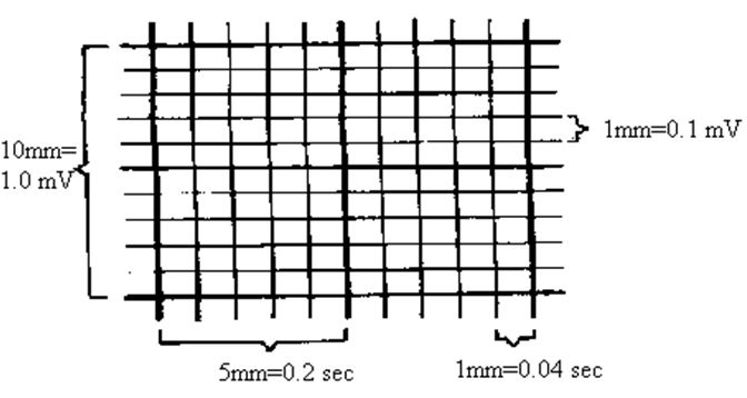 Physiology Of Ecg | Ecg Terminologies Explained | Physiology Notes
