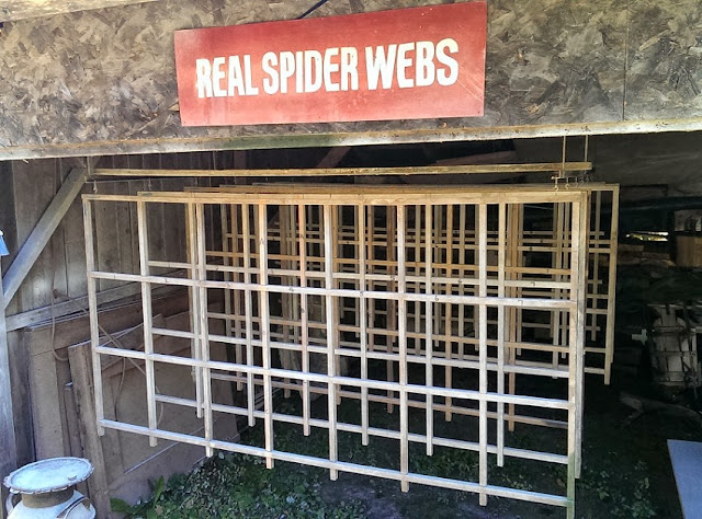 OTIS (Odd Things I've Seen): The Old Man and the Spider: Knight’s ...