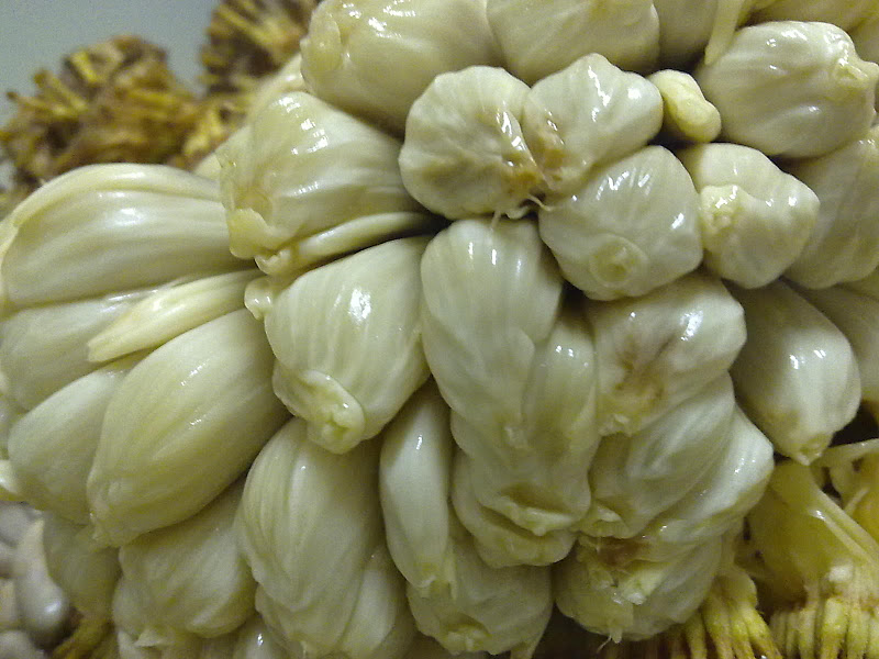 Memaknakan kehidupan dengan banyak memberi...: buah terap aka tarap (Sabah)