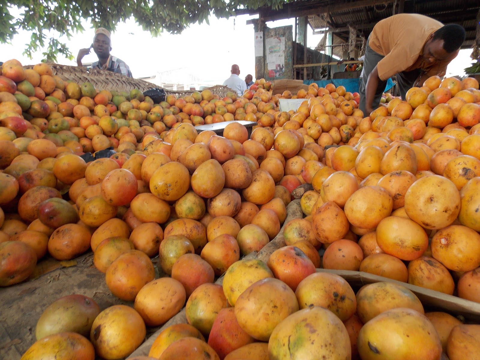 TANGA KUMEKUCHA: WAFANYABIASHARA WA MATUNDA TANGA WALALAMIKA KUKOSA SOKO
