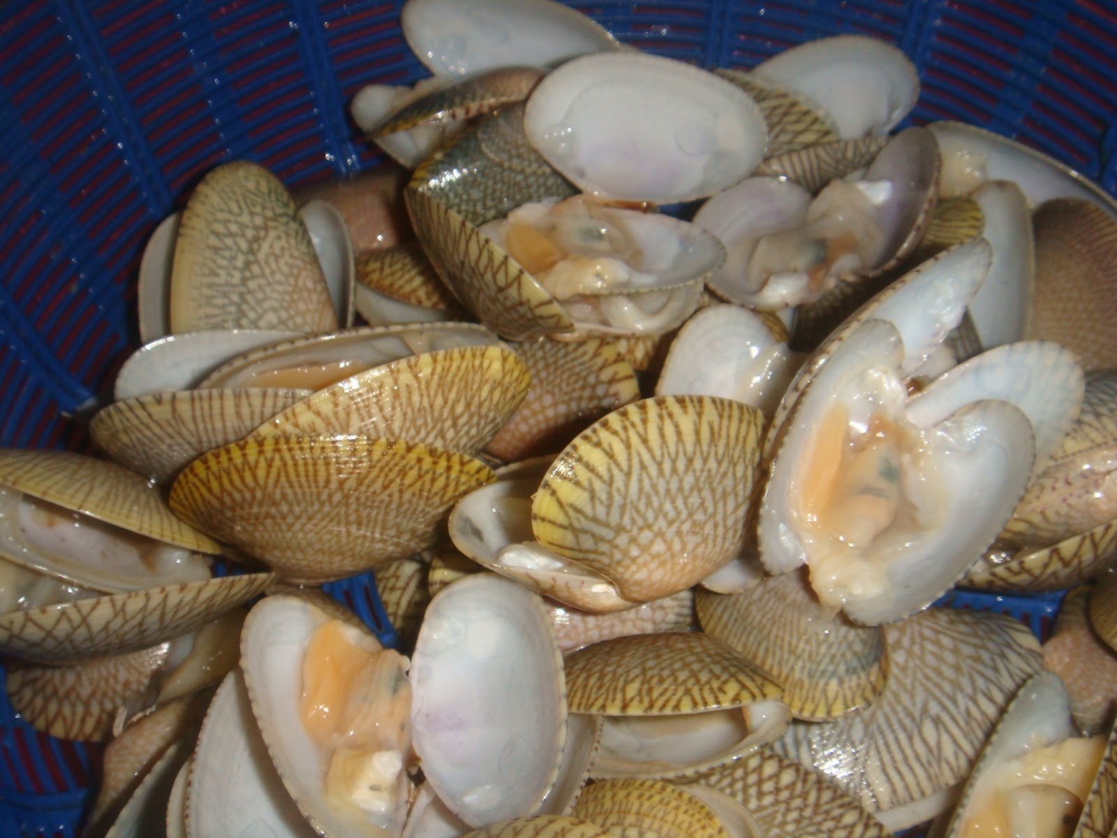 Resepi Lala Goreng Pedas - Resepi Cik Bee