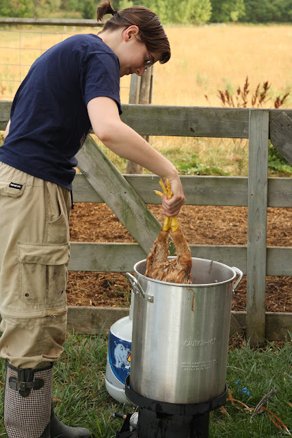 Third Day Farms: Chicken Butchering