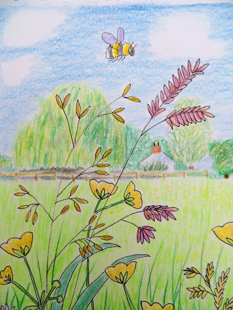 Bunny Mummy: This Weeks Drawing....Summer Fields