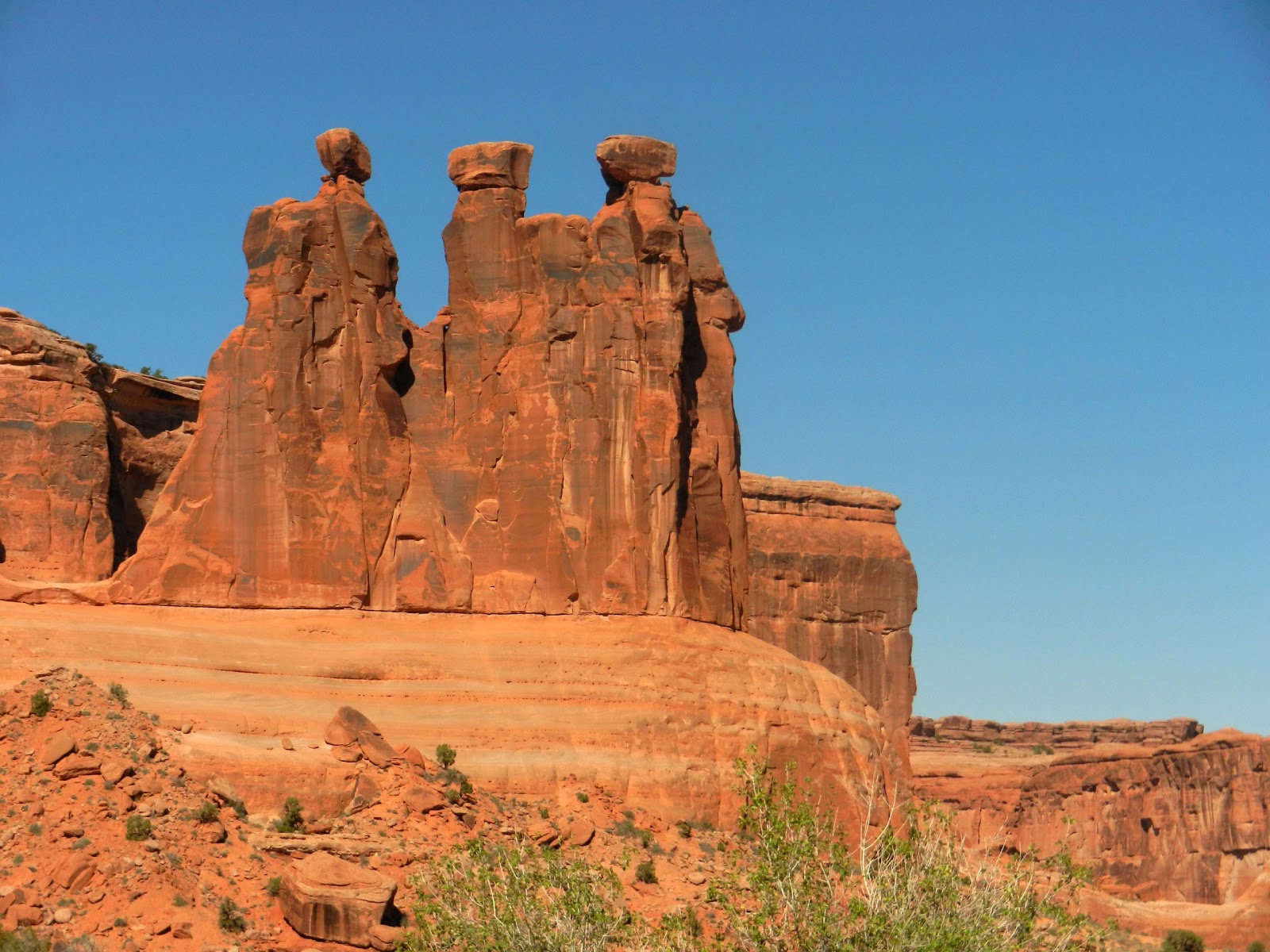 Cat Patches: Quilt Shop: It's Sew Moab