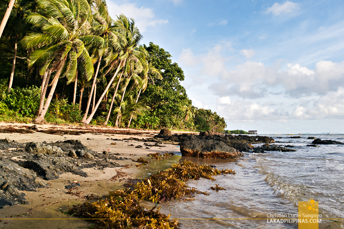 PALAWAN| Linapacan Island Hopping ~ One of the Clearest Waters in the ...