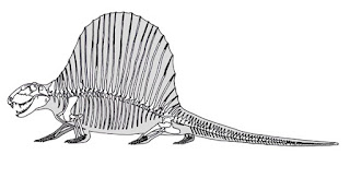 Blog de la Vida Prehistórica: Dimetrodon
