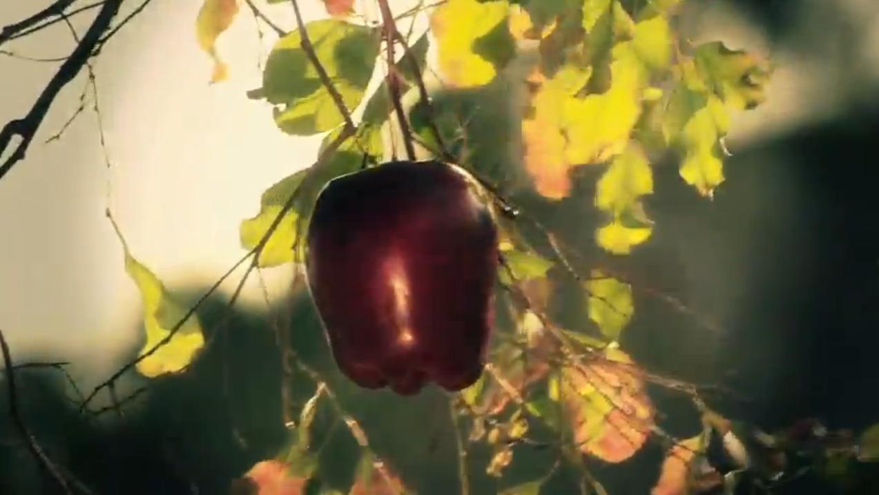 Twilighters Dream: A Thousand "Twilight" Years