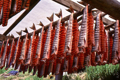 Urban Coyote TeeVee: re: Nlaka'pamux language and words.