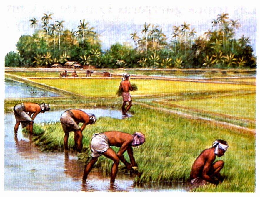 India: el Imperio Maurya 321-233 a.C.