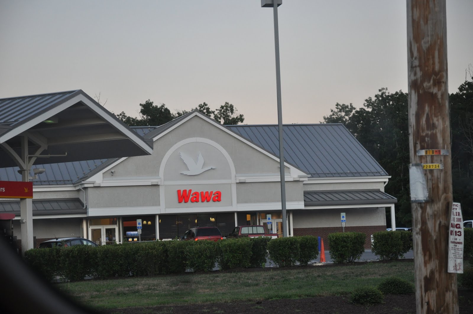 Random-osity: Wawa