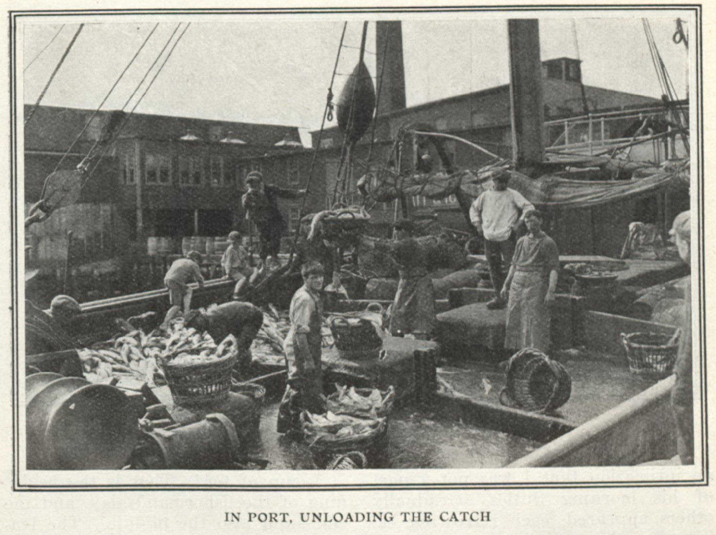 From Stillwater: With The Cod Fishermen