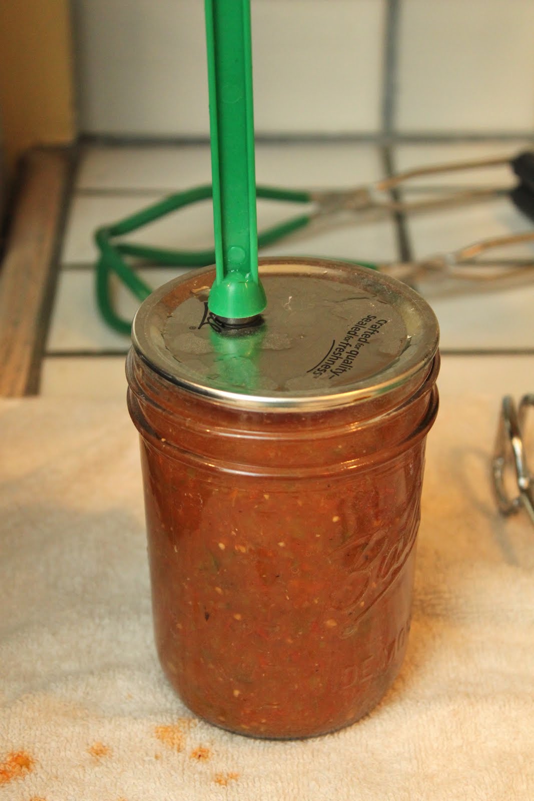 How to Can: Zesty Salsa {Recipe} - Smashed Peas & Carrots