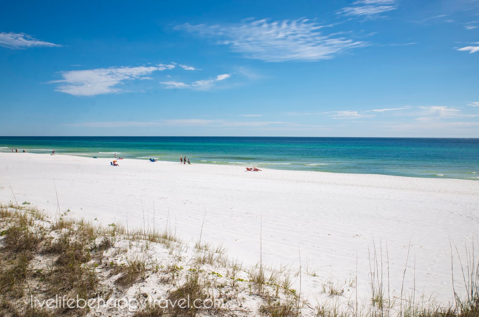 Life and Coconuts: Discovering the Best Activities in Destin, Florida ...