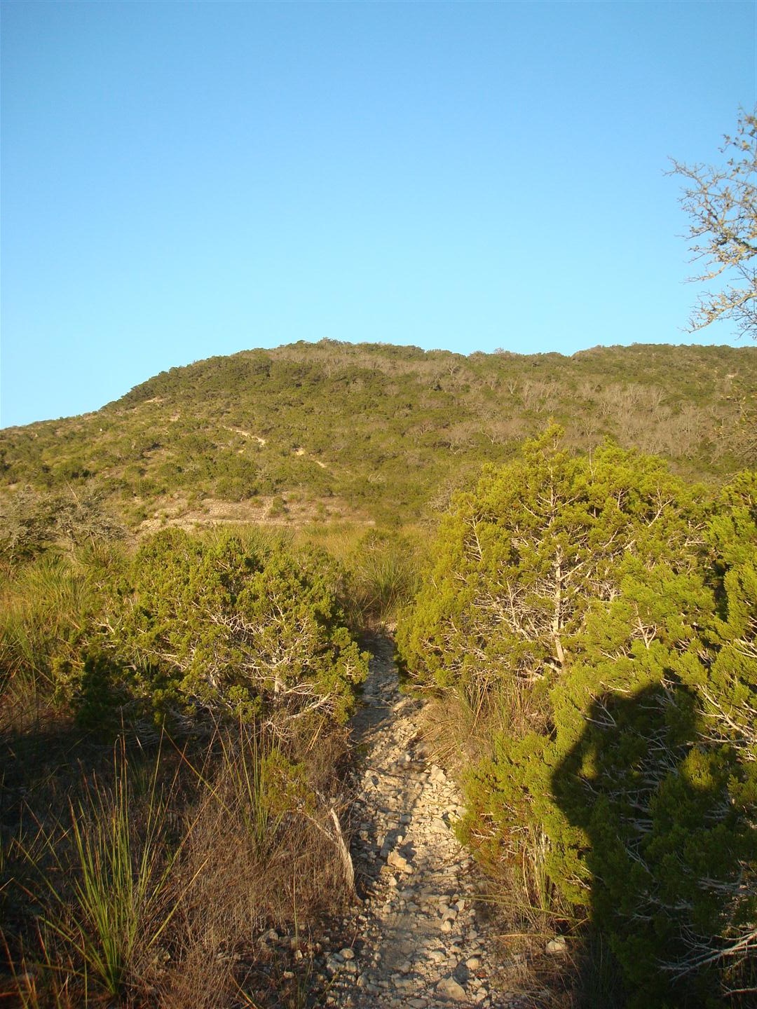 CO-Runner: 2012 Bandera 100k Report