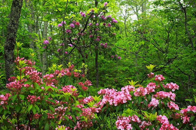 Cumberland Gal: Saturday Panther Falls Swimming & Sunday Blue Ridge ...