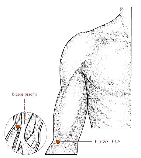 Acupuncture: LU - 5 ( LUNG-5)
