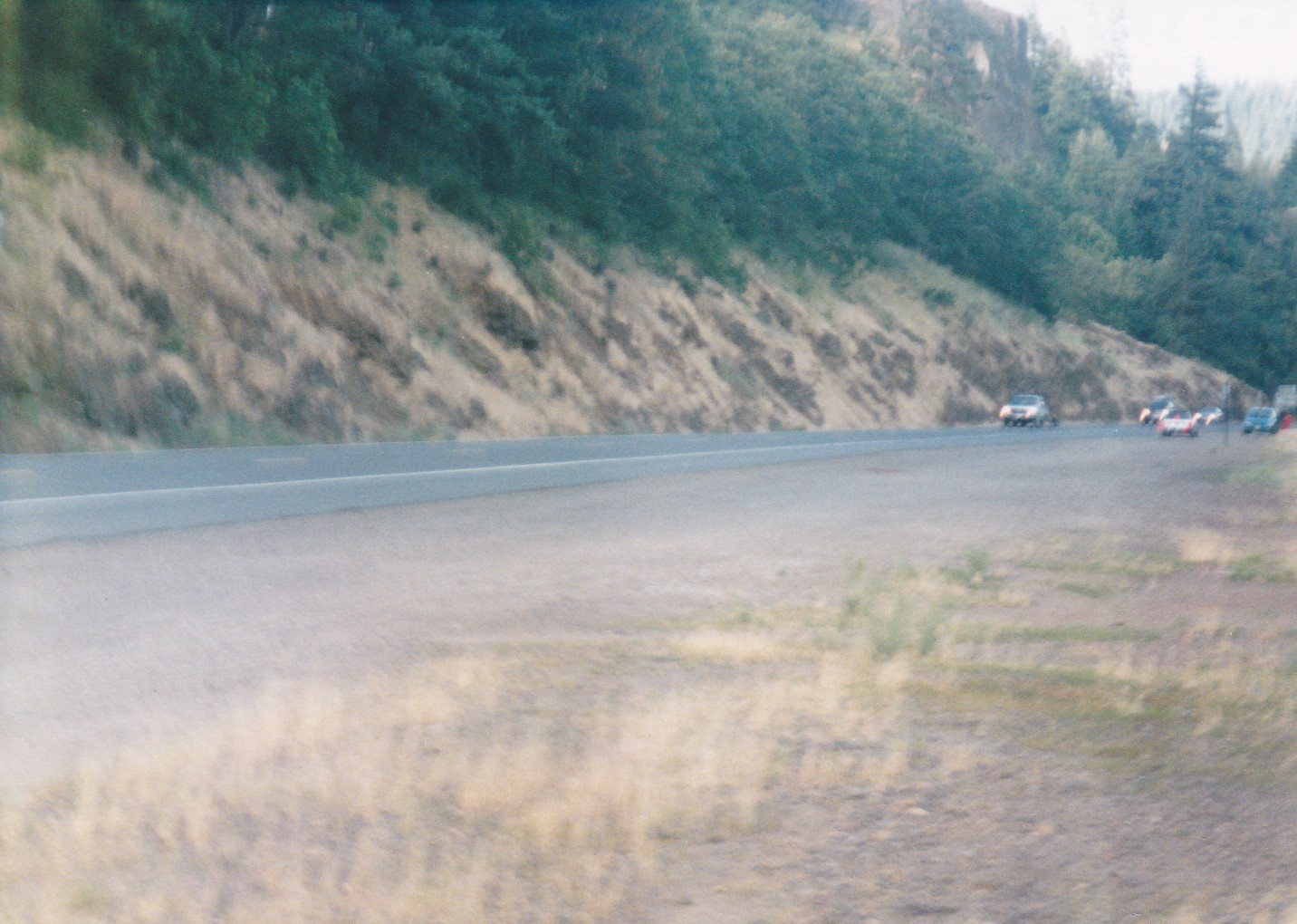 TrainPages: 4449 at Cook in 1997