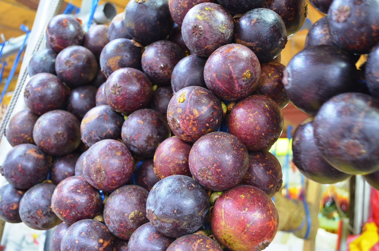 Exploring Davao City: Davao's Iconic fruit, the Durian!