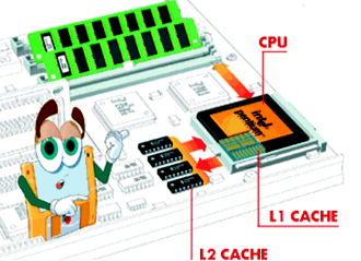 Webs: Unidad de Memoria (Cesar)