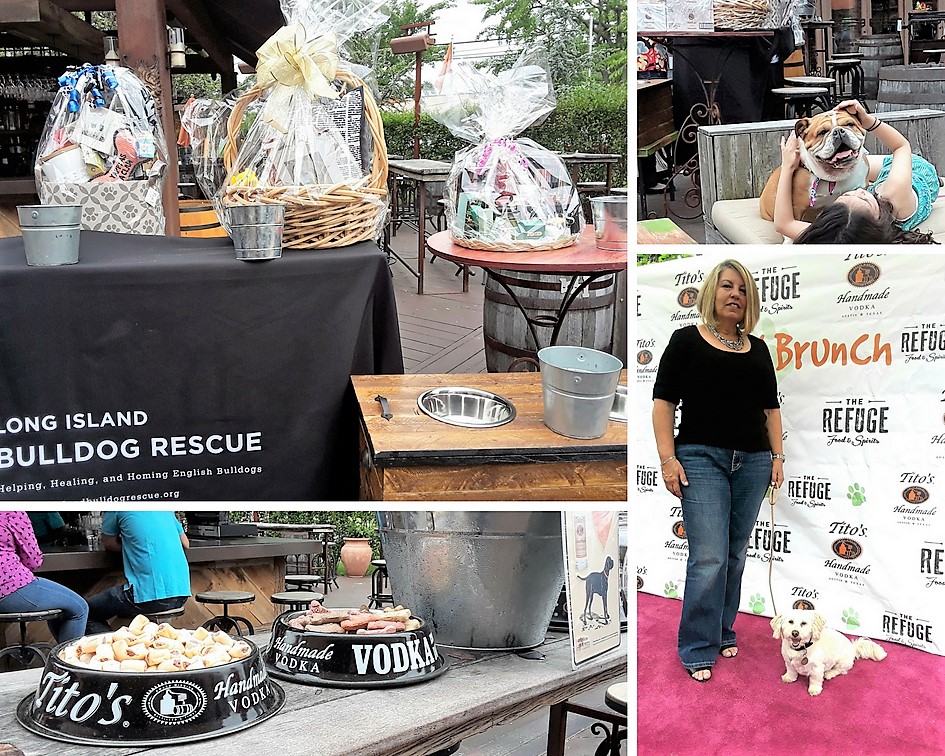 Dogs Luv Us and We Luv Them: DOG FRIENDLY EVENTS THAT HELP RESCUE DOGS