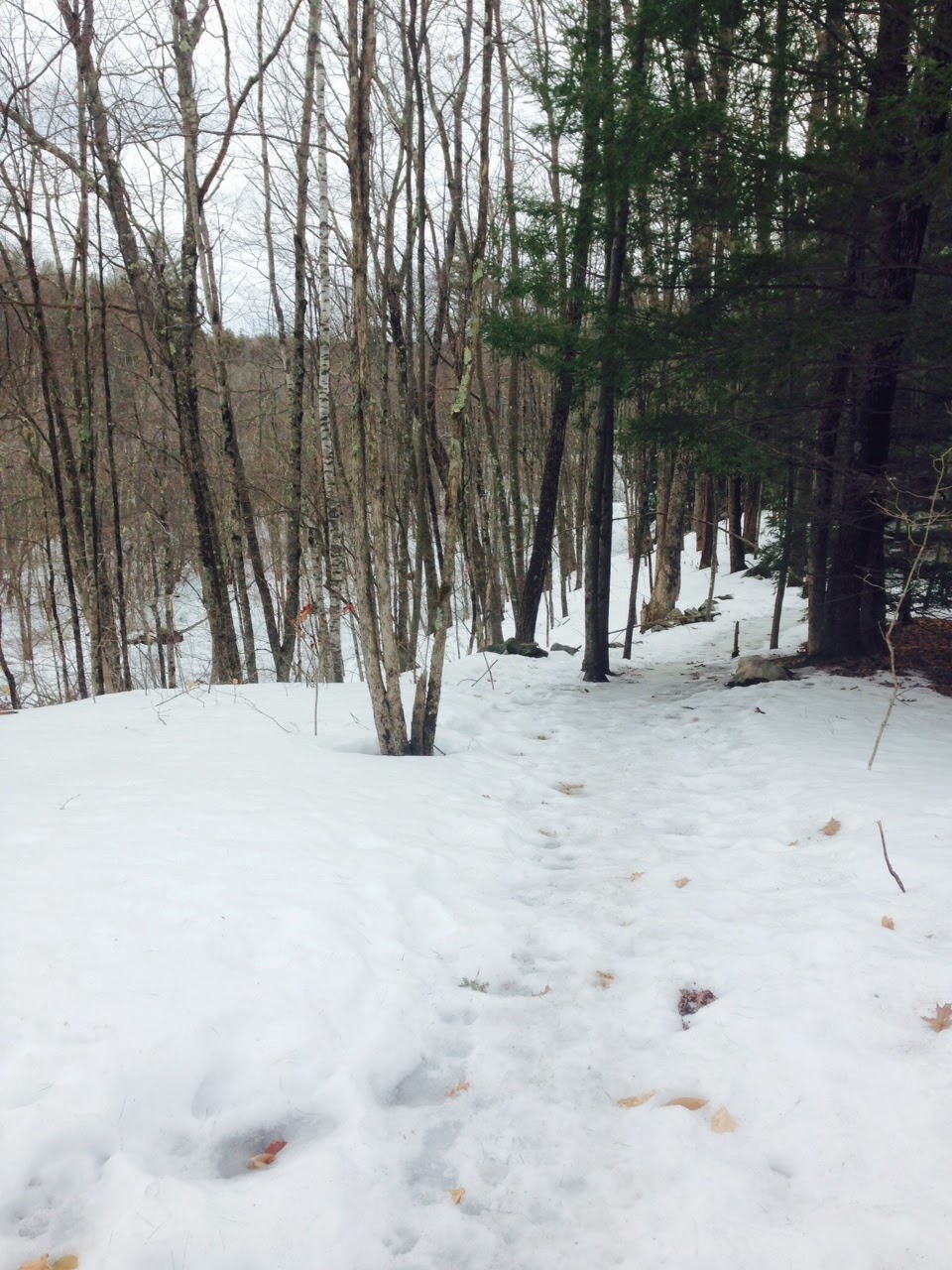 The Feral Irishman: Cold, Grey Day At The Bunker..