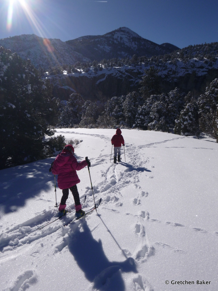 Desert Survivor: Grey Cliffs Cross Country Ski