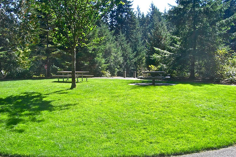 Around Puget Sound and Beyond: Hiking -- Redmond's Watershed Preserve ...