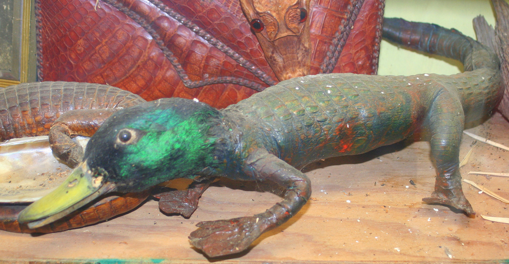 The Carpetbagger: The Abita Mystery House