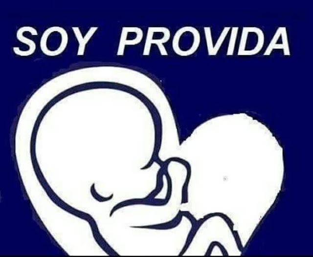 Derecho a Vivir Jaén: 10 Razones para ser Provida