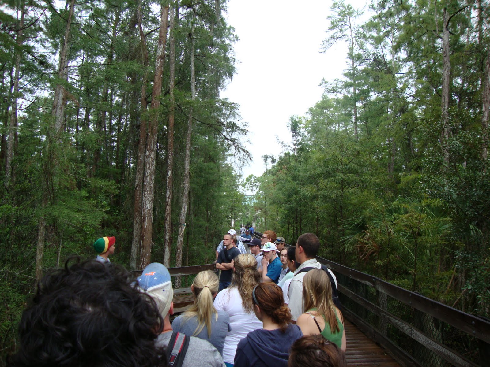 ProjectMonkey: FGCU Campus Nature Trail
