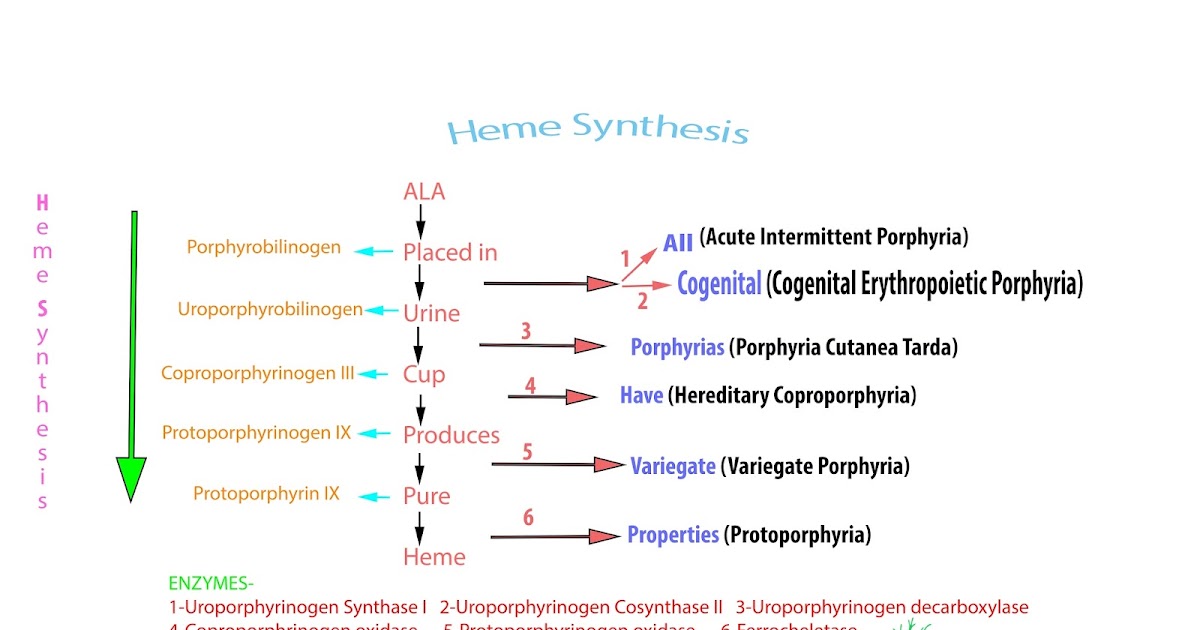 Medicowesome: Heme Synthesis Mnemonic