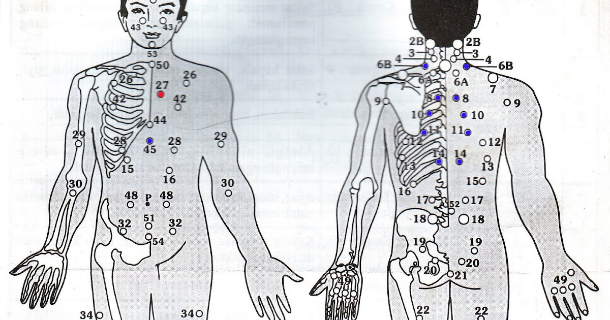 Derviş Hacamat ve tıbbi sülük: Tüm iller için HACAMAT - SÜLÜK KURSU