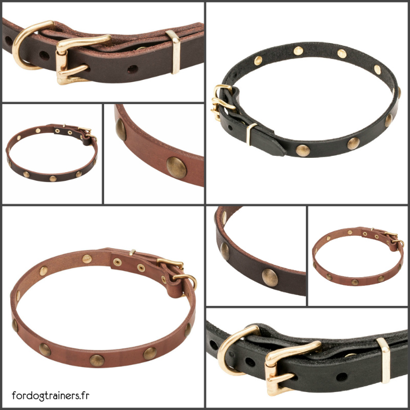 ForDogTrainers - accessoires pour chiens: Collier chien en cuir ...