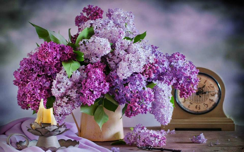 საქართველოს საჭადრაკო ტურნირები