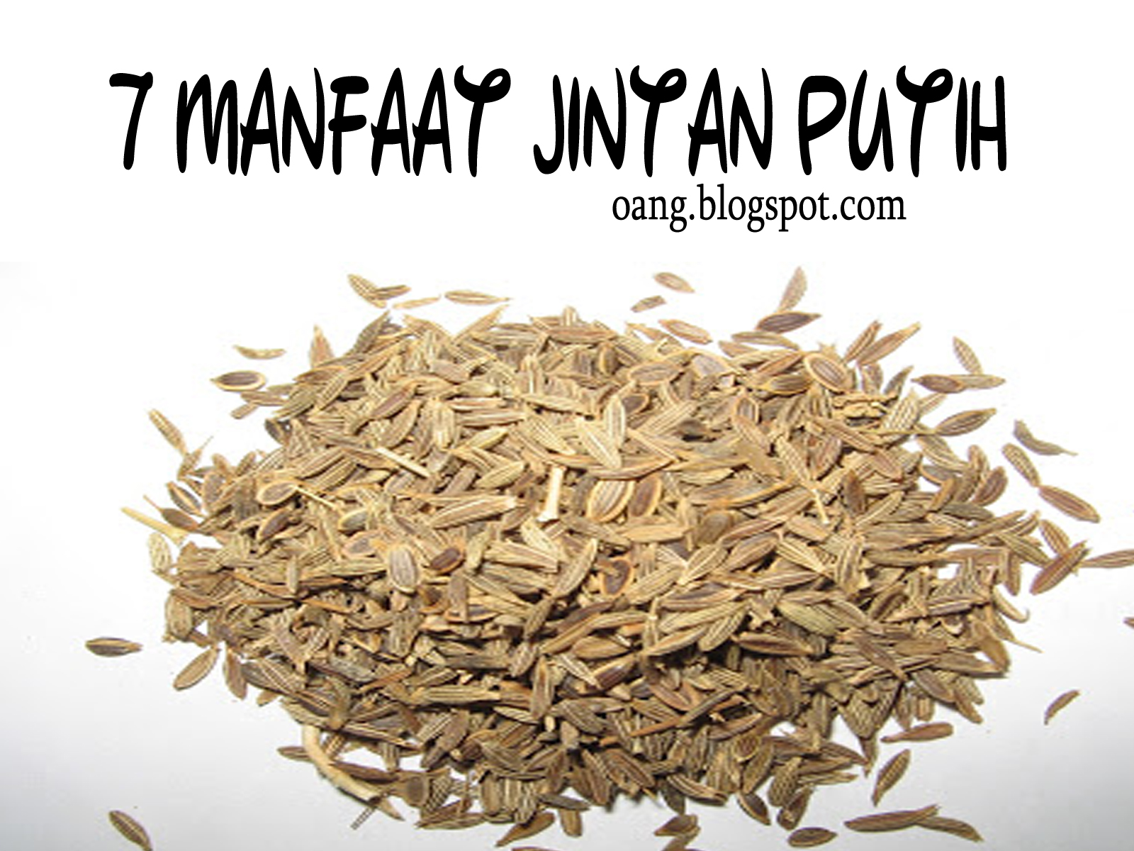 7 Manfaat Jintan Putih | OAN SUN